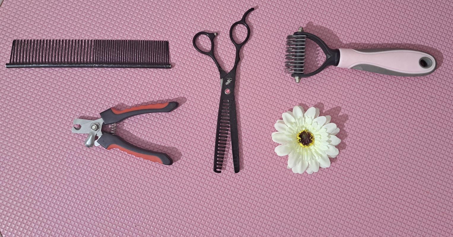 Calmark - איילת מספרת