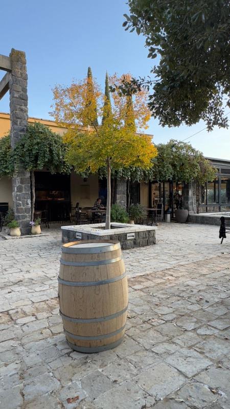 Calmark - Beauty-Place